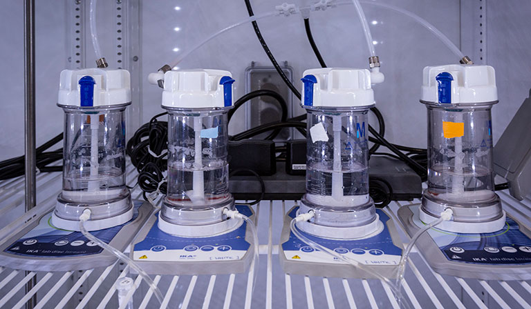 Immune Monitoring - Fred Hutch