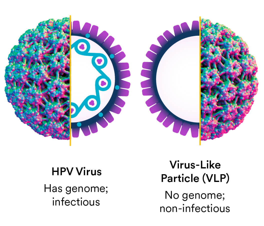 Our Breakthroughs | Fred Hutchinson Cancer Center
