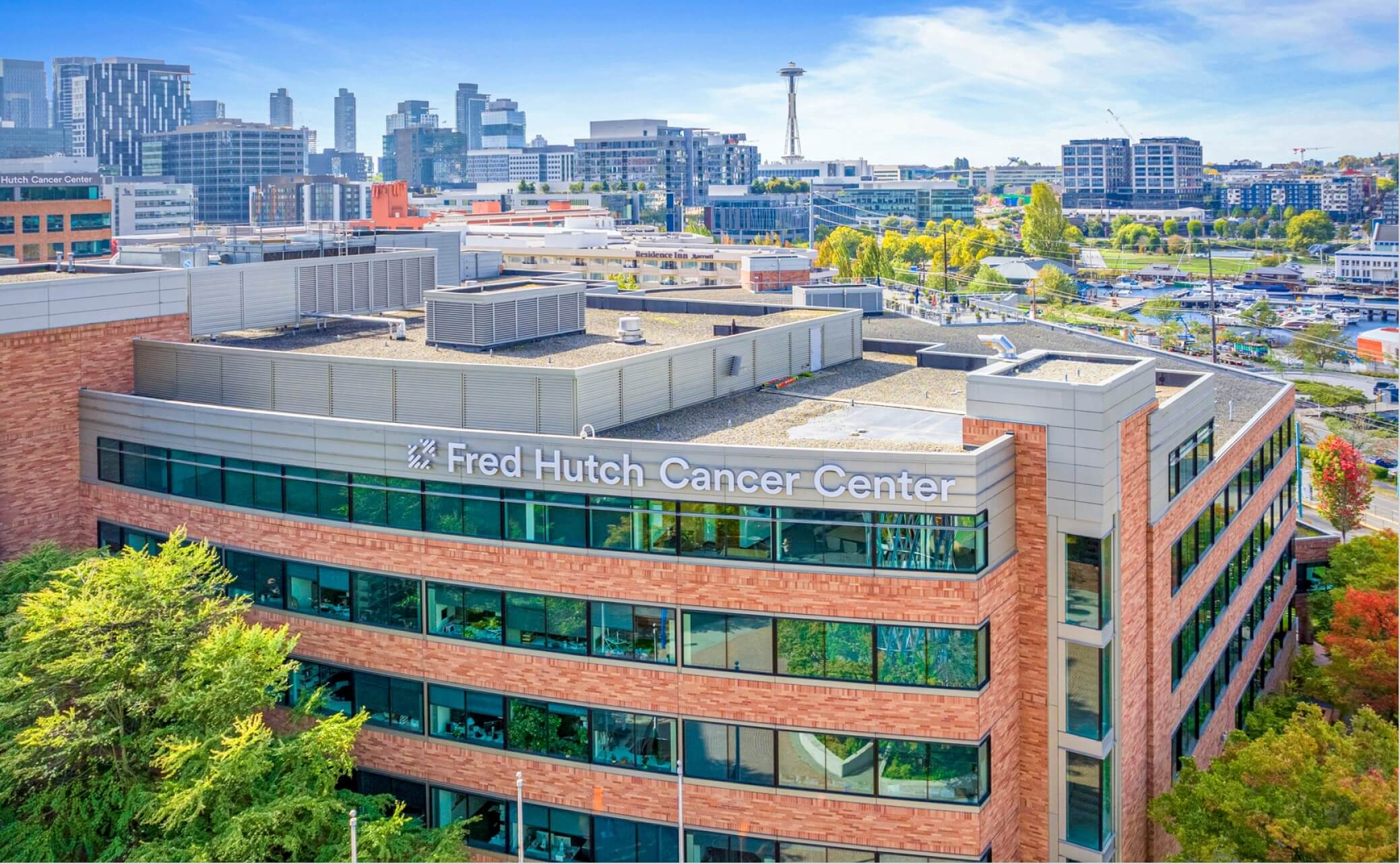 Our Breakthroughs | Fred Hutchinson Cancer Center