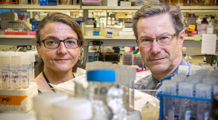 Fundraise for Fred Hutch | Fred Hutchinson Cancer Center