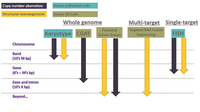 Clinical Cancer Genomics Laboratory | Fred Hutchinson Cancer Center