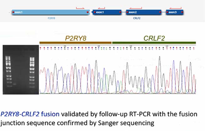Clinical Cancer Genomics Laboratory | Fred Hutchinson Cancer Center