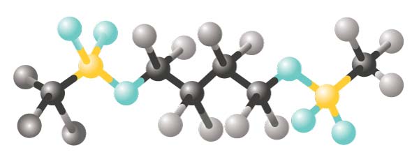 Busulfan Lab (Pharmacokinetics Lab) | Fred Hutchinson Cancer Center