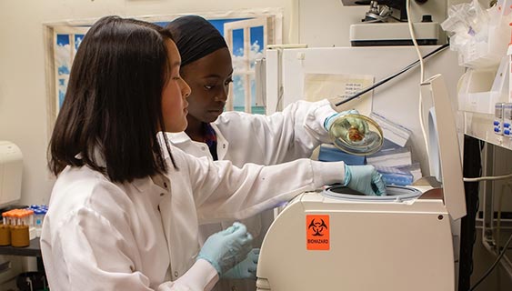 Lab Tech Program | Fred Hutchinson Cancer Center