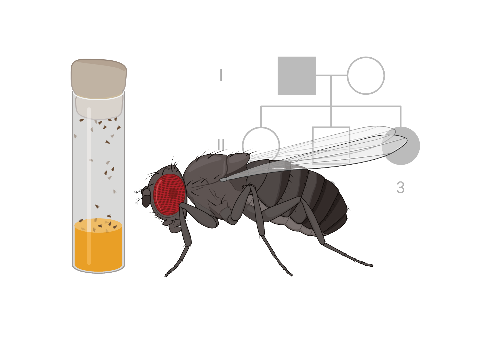 Do It Yourself Kits | Fred Hutchinson Cancer Center