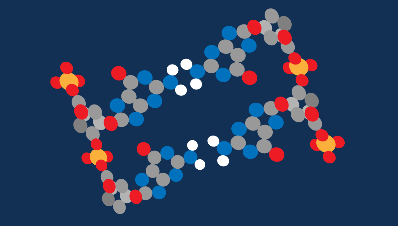 Model Kits | Fred Hutchinson Cancer Center