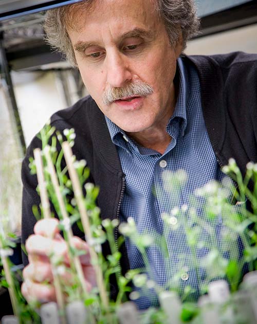 Spotlight on Steve Henikoff | Fred Hutchinson Cancer Center