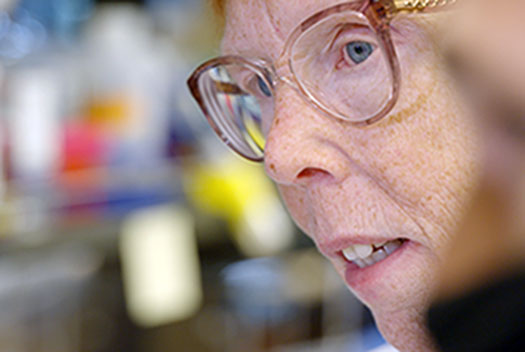 Breast cancer vaccine safely generates anti-tumor immunity | Fred ...