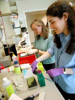 Telomerase: Cancer's double threat enzyme | Fred Hutchinson Cancer Center