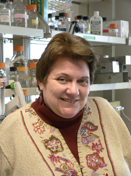 HPV vaccine linked to work in Galloway lab | Fred Hutchinson Cancer Center