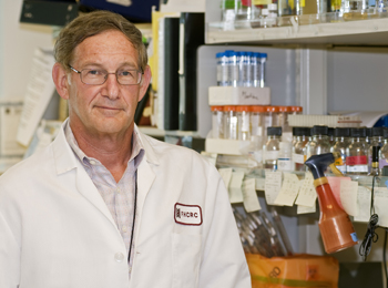 Video: How HIV infects those with healed herpes lesions | Fred ...