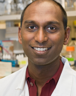 Fetal cells may be double-edged cancer sword for women - Fred Hutch