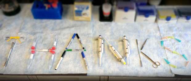 Researchers and patients give thanks - Fred Hutch