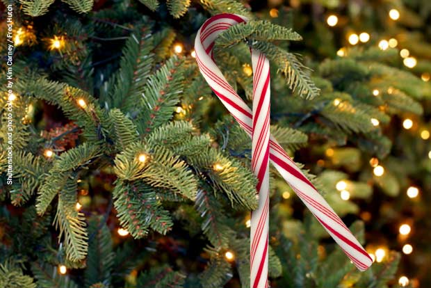 How to survive the holidays with cancer - Fred Hutch