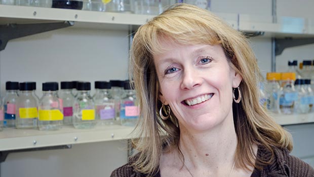 Dr. Sue Biggins elected to National Academy of Sciences | Fred ...