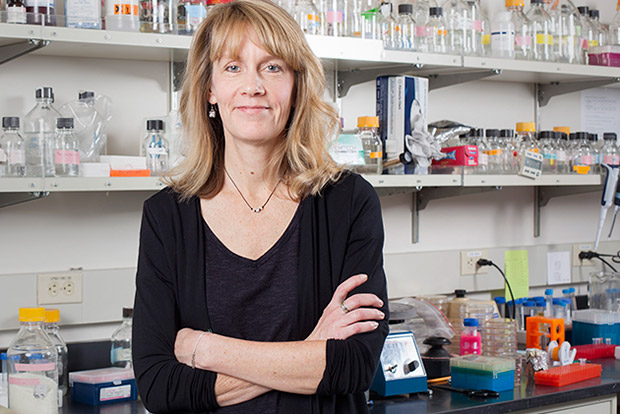 ‘Every day something new’: Dr. Sue Biggins selected as HHMI ...
