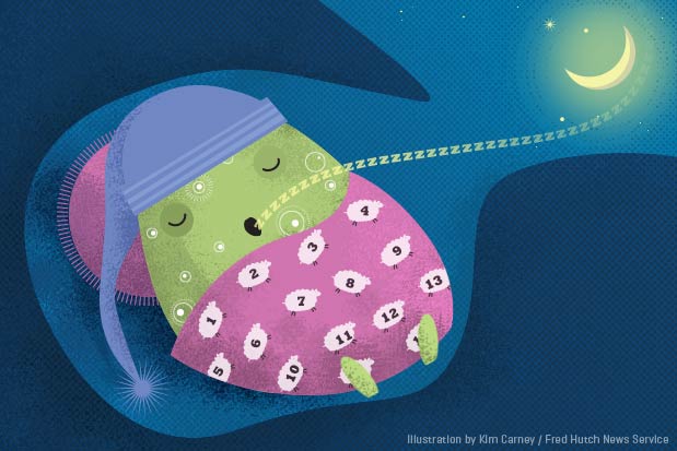 How cells put themselves to sleep - Fred Hutch