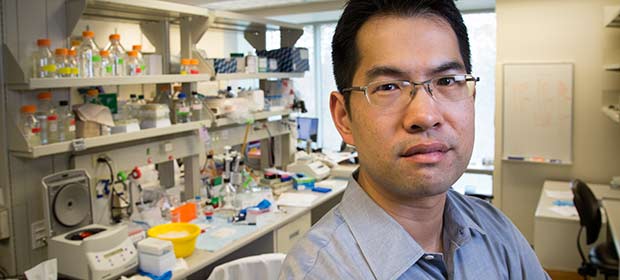 ‘We have to be daring’: A doctor’s quest to unlock answers about ...