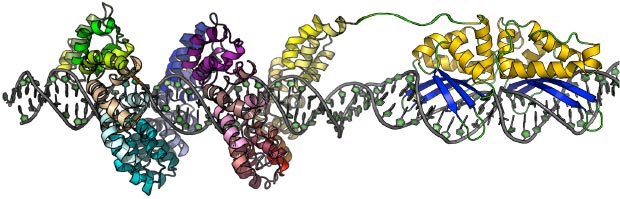 CRISPR and beyond: The ins and outs of gene editing and its potential ...
