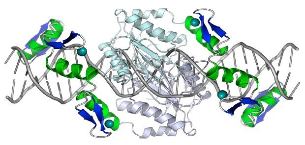 CRISPR and beyond: The ins and outs of gene editing and its potential ...