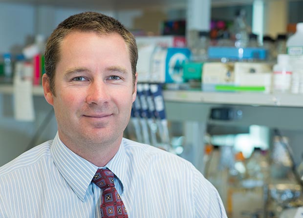 Patients with advanced lymphoma in remission after T-cell therapy ...