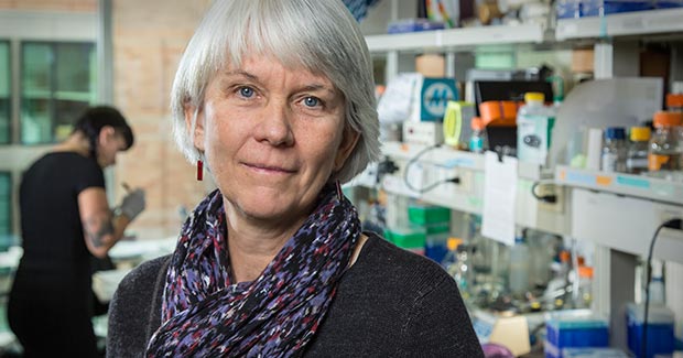 HIV researcher Dr. Julie Overbaugh wins Nature mentorship award | Fred ...