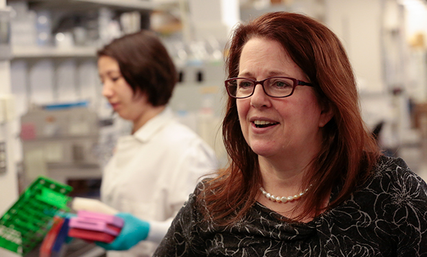 What we’re learning about cancer-causing bacteria and viruses | Fred ...