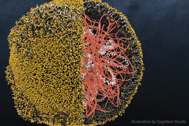 Tiny tech reprograms immune cells to fight cancer | Fred Hutchinson ...