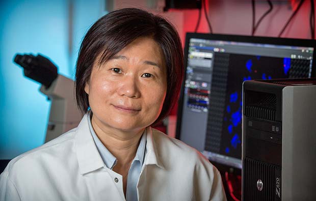 Stealing a secret from an unwelcome virus | Fred Hutchinson Cancer Center