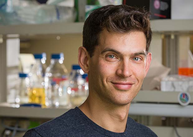 Good News: Normal skin cells keep cancer at bay | Fred Hutchinson ...