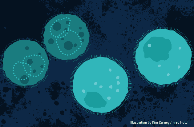 Gene Therapy Animation CRISPR Off Target Editing: Prediction,