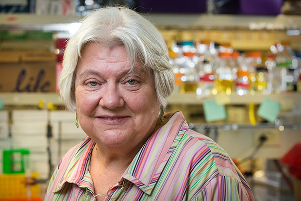 Galloway receives NCI Outstanding Investigator Award | Fred Hutchinson ...