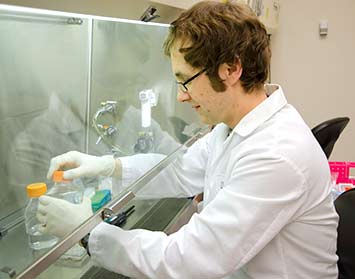 Understanding HIV’s evolutionary past — and future | Fred Hutchinson ...