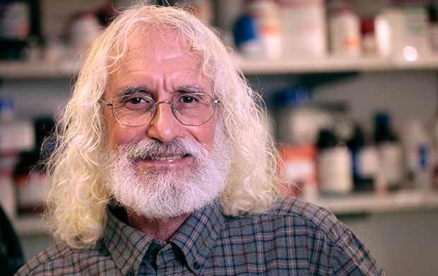 Good News: Fred Hutch immunotherapy expert Dr. Phil Greenberg joins ...
