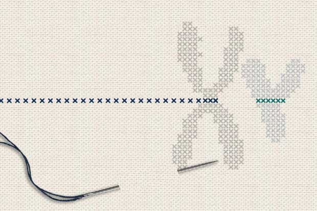 ‘Waistbands’ of our chromosomes marked by unusual X-shaped DNA | Fred ...