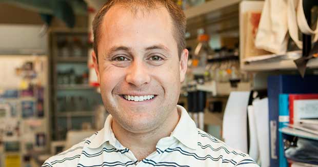 Dr. Matthew Miller named Damon Runyon ‘Breakthrough Scientist’ | Fred ...