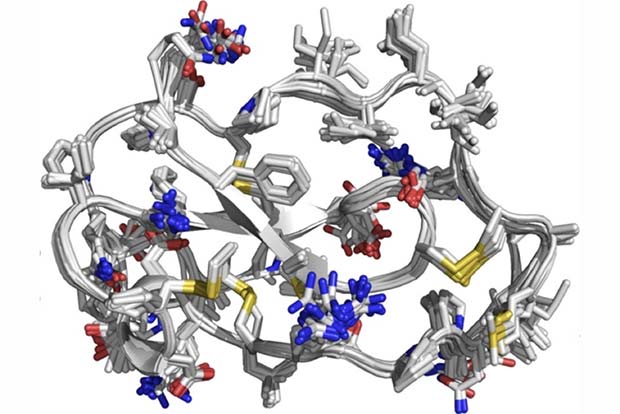 New technological platform opens unexplored world of tiny proteins ...