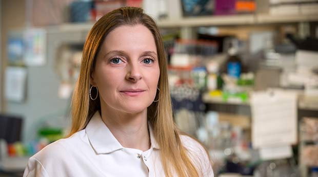 Immunotherapy strategy for ovarian cancer aims to rewire a ‘kill switch ...