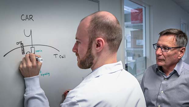 Want to make better T-cell therapies? First, figure out how they work ...