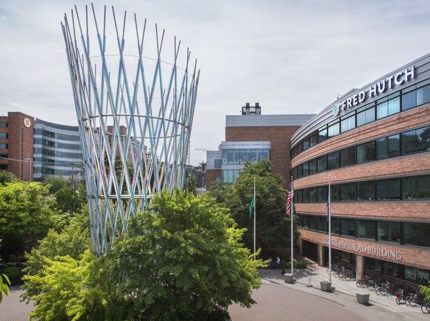 Bone marrow transplant survival rates recognized nationally | Fred ...