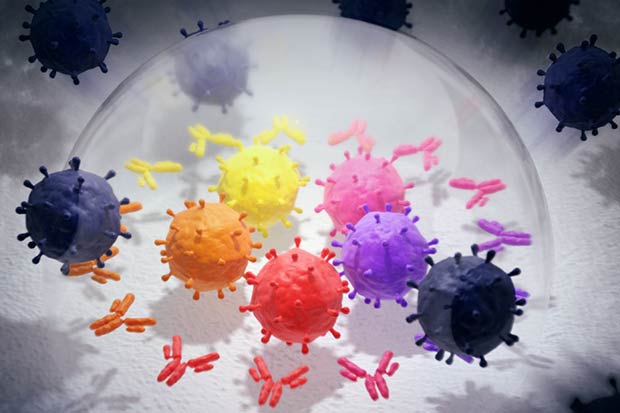 Rethinking an old viral foe | Fred Hutchinson Cancer Center