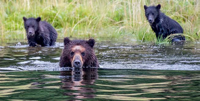 Remembering Dr. Ron Reeder, molecular biologist-turned-photographer ...