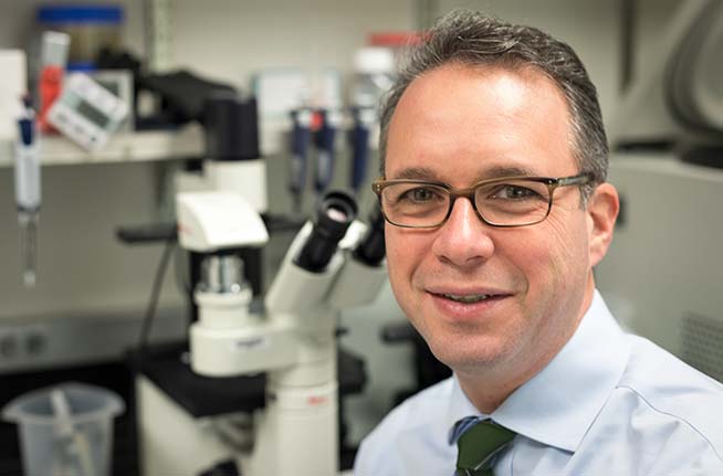 Failed Alzheimer’s drug boosts CAR T-cell therapy | Fred Hutchinson ...