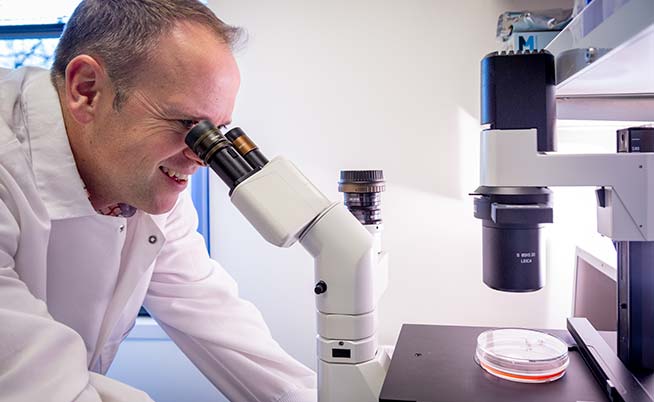 Gimme shelter: CRISPR hides healthy cells from leukemia drug | Fred ...