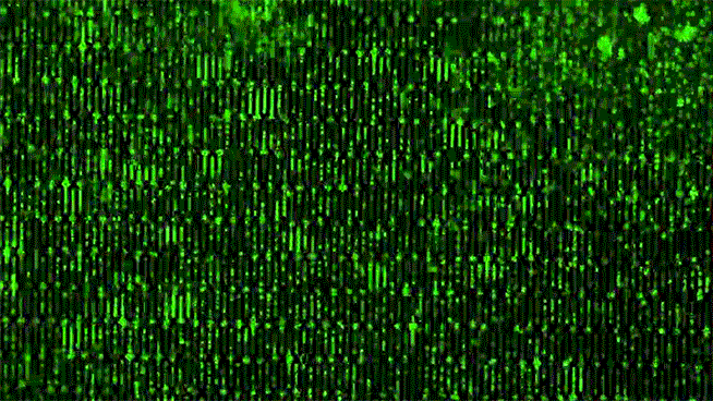 green dot black background