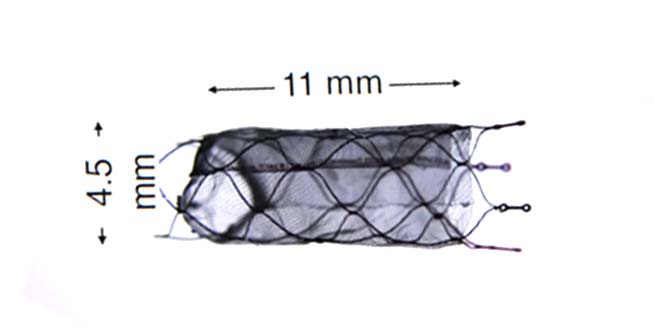 Cancer immunotherapy gets assist from micro-scale engineering | Fred ...