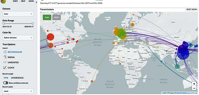 Tracking a pandemic: Q&A with a COVID-19 detective | Fred Hutchinson ...