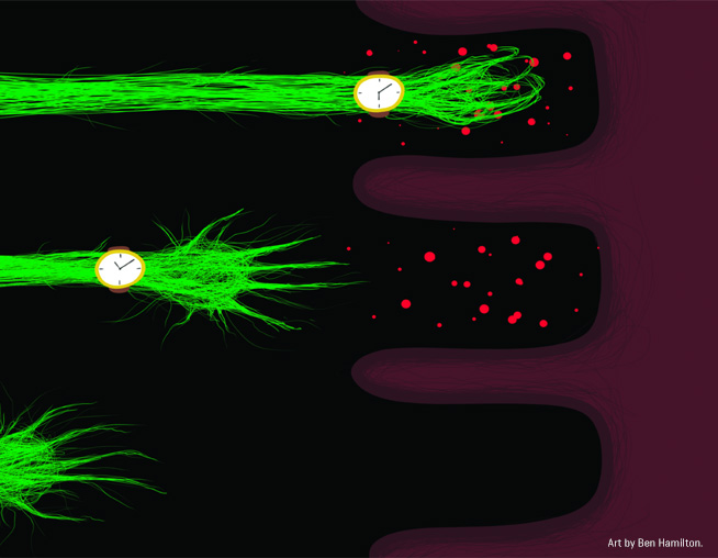 Helping the developing brain chart its course | Fred Hutchinson Cancer ...
