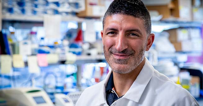 Preventing brain metastasis in breast cancer | Fred Hutchinson Cancer ...