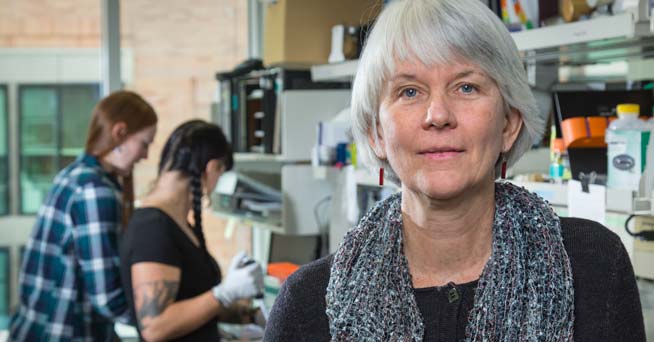 Dr. Julie Overbaugh elected to National Academy of Sciences | Fred ...